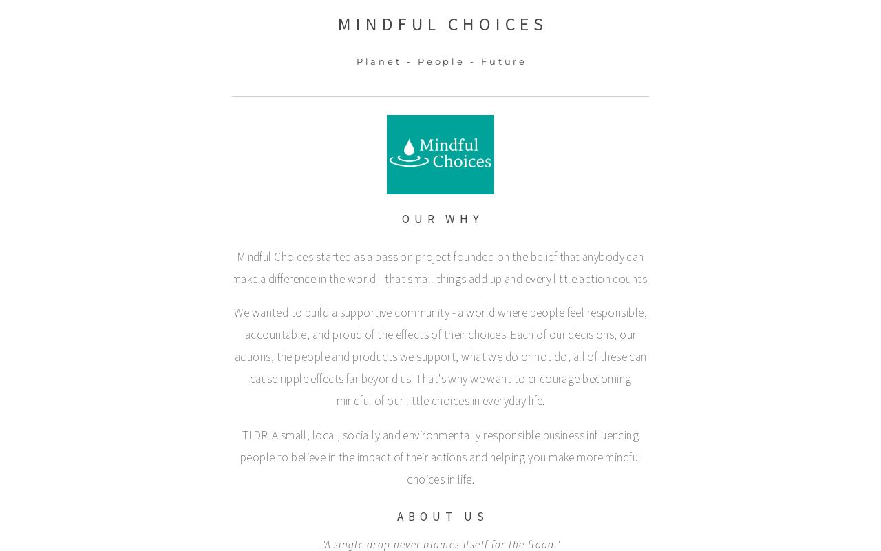 Mindful Choices